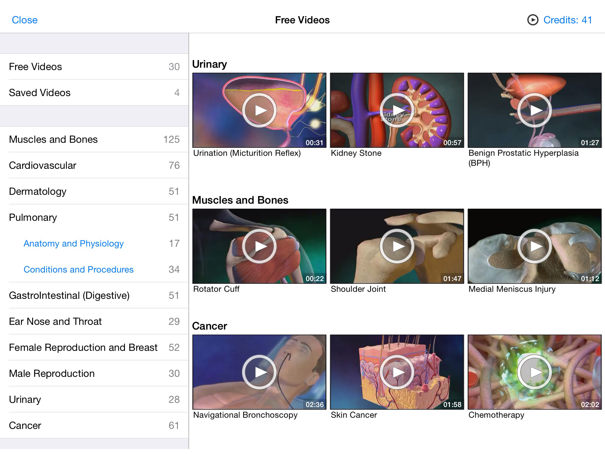 Press kit for journalists and bloggers - Pocket Anatomy