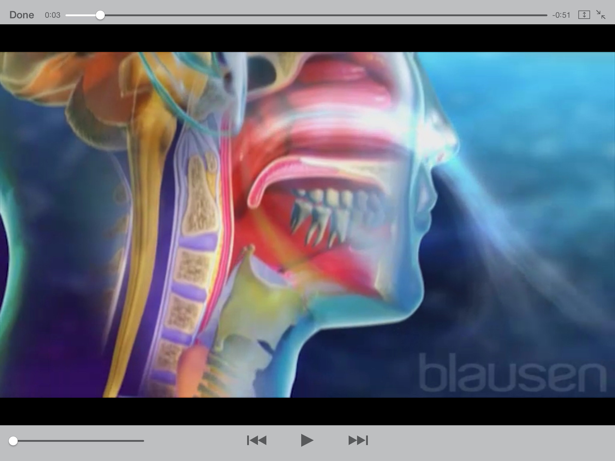 Press kit for journalists and bloggers - Pocket Anatomy