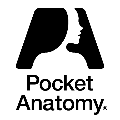 POCKET_ANATOMY_STACKED_LOGO_Black_On_Transparent_RGB - Pocket Anatomy